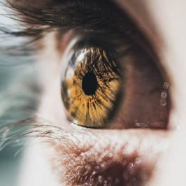 Psychopath traits, signs, causes and treatment