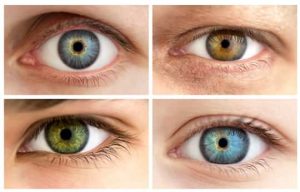 The Most Attractive Eye Colour For Males And Females - PsyBlog